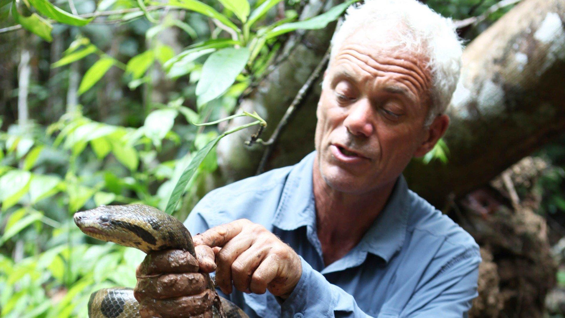 Watch River Monsters: S6E2 - Jungle Terminator on Philo (Free Trial)