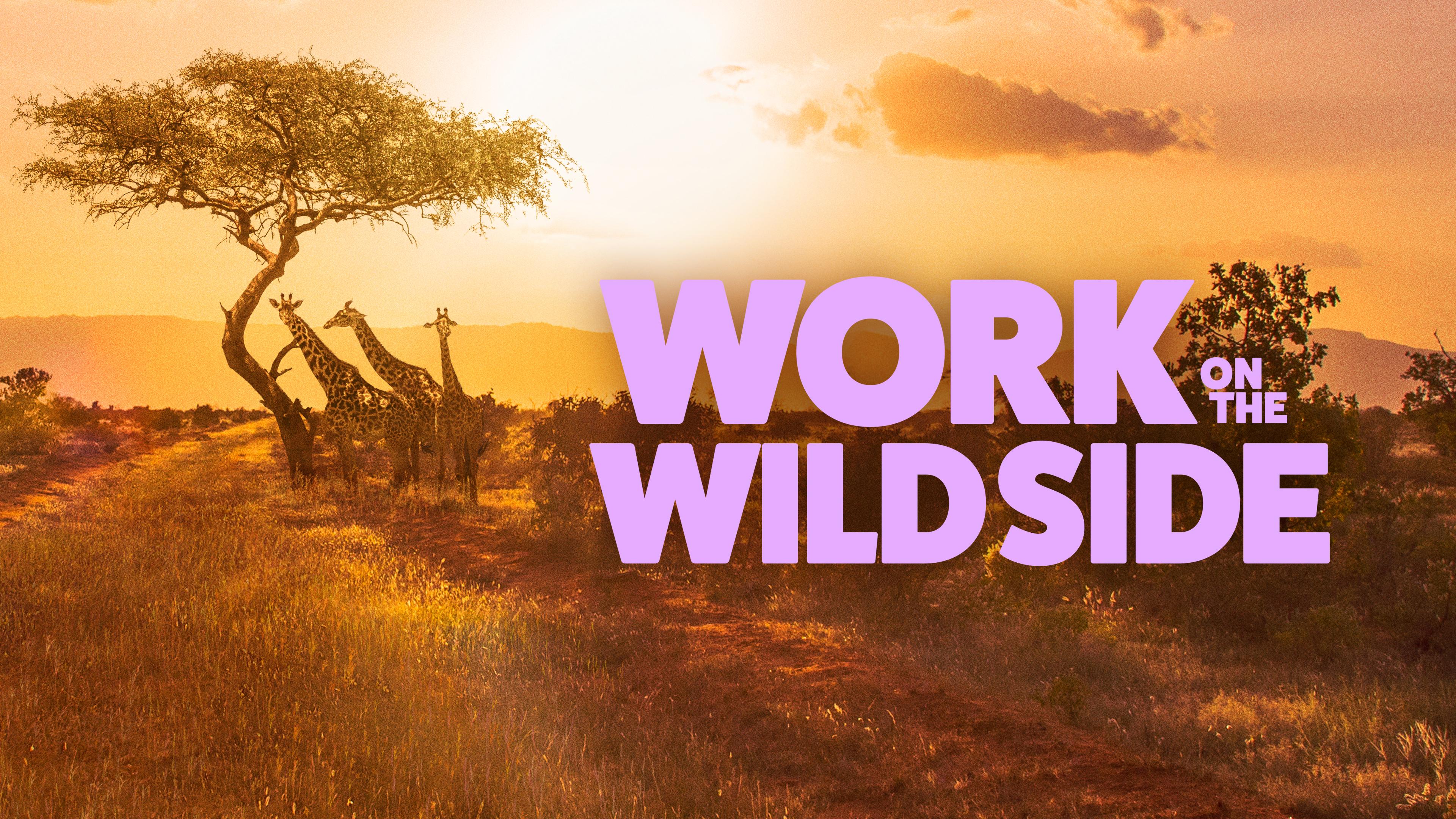 Watch Work on the Wild Side: S1E7 - Plans and Experiments on Philo ...
