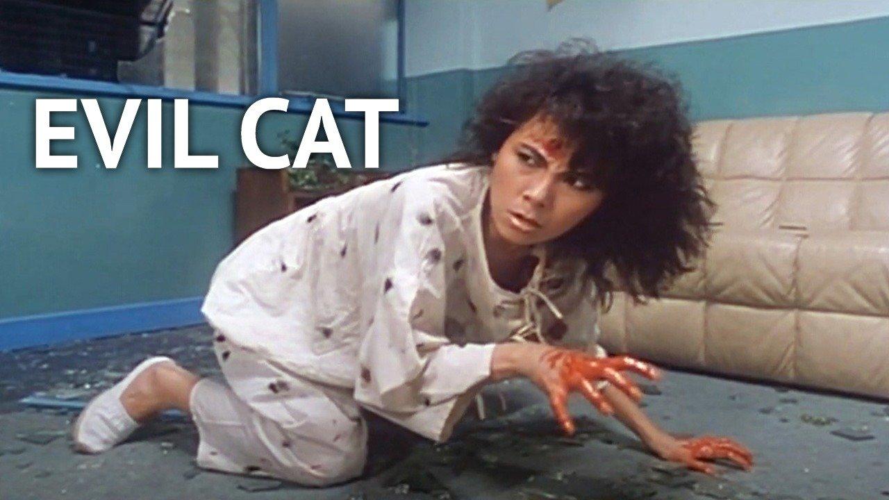 Watch Evil Cat Streaming Online on Philo
