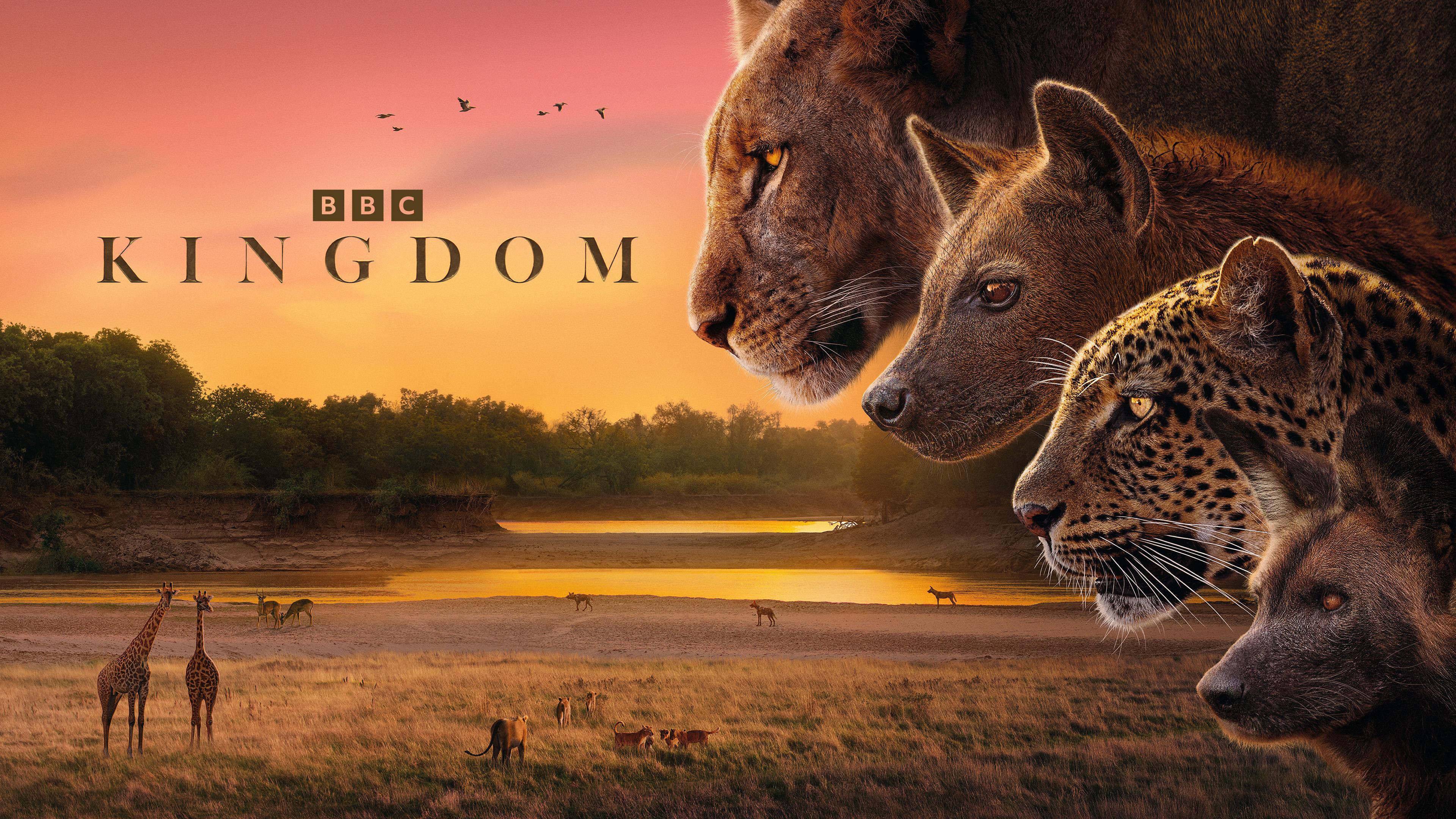 Watch Planet Earth: Kingdom Streaming Online on Philo