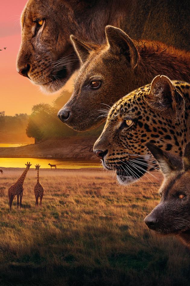 Watch Planet Earth: Kingdom Streaming Online on Philo