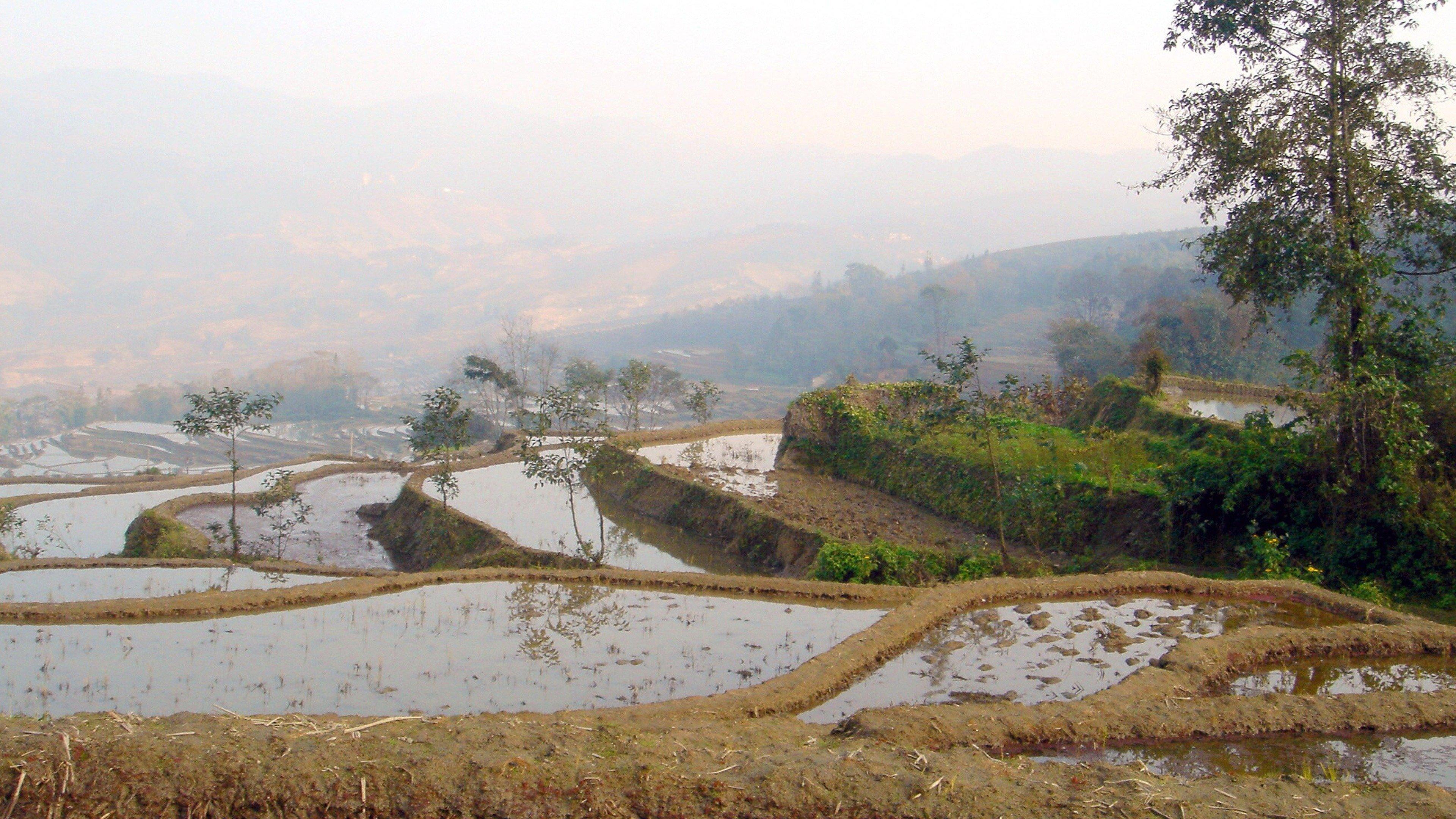 Watch Where Did It Come From?: S1E8 - Ancient China: Agriculture on ...