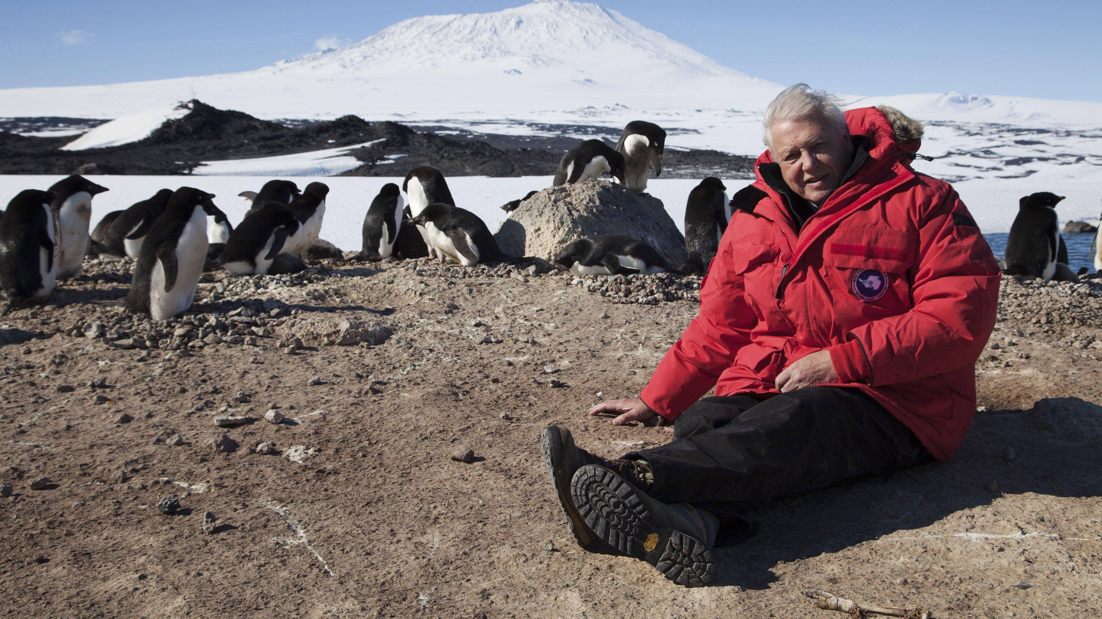 Watch Planet Earth: Frozen Planet Streaming Online on Philo